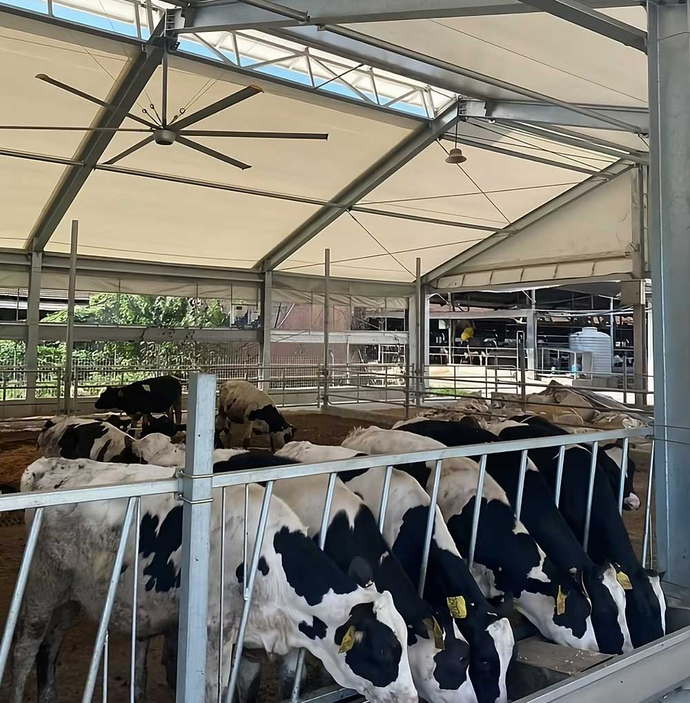 Ventiladores industriales para naves industriales Coolix